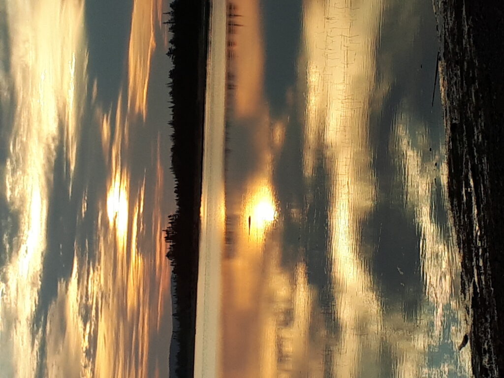 Newfoundland Dory - Newfoundland Labrador